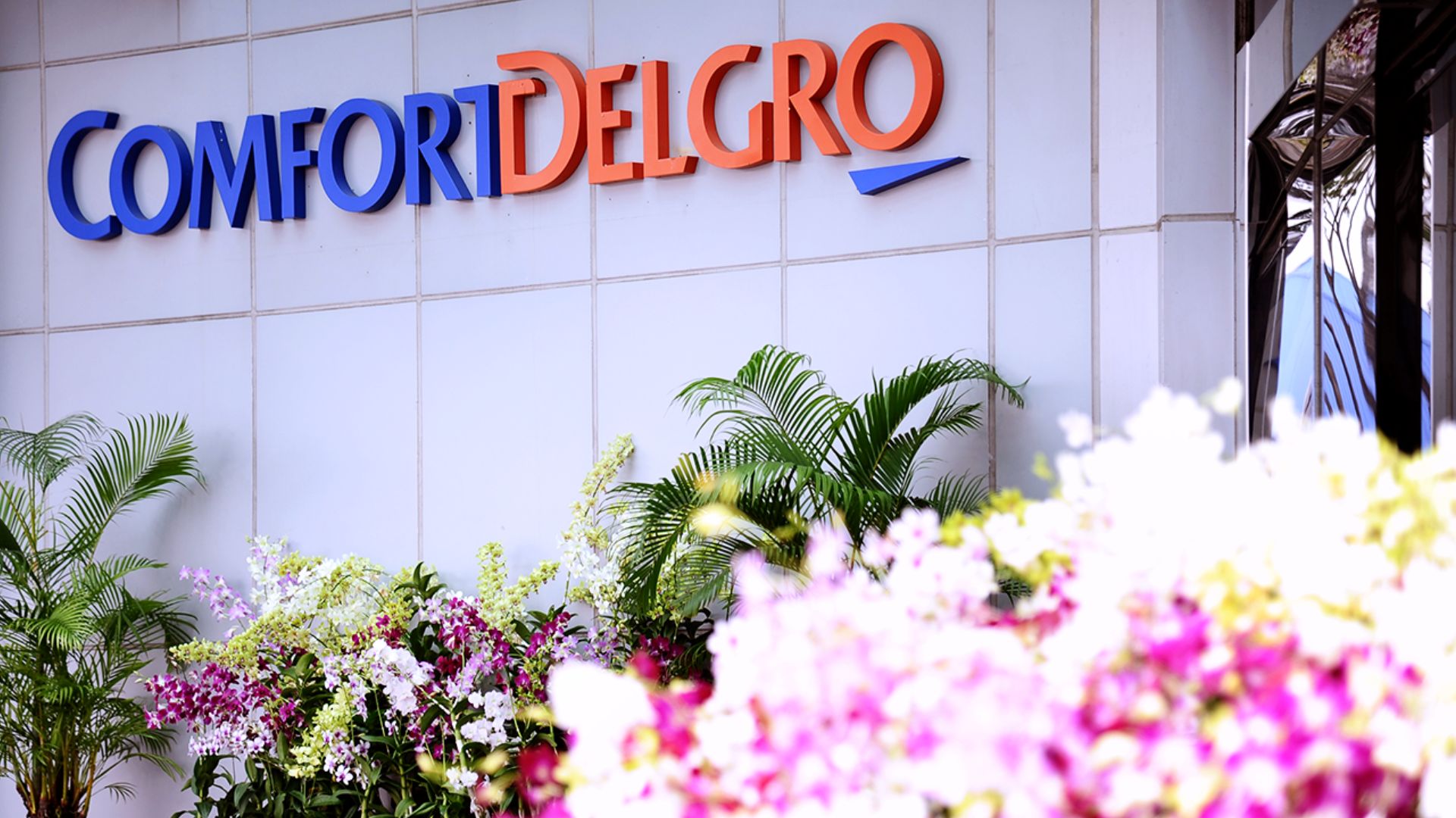 ComfortDelGro Plummets to New Low: What Is Happening? | Dr Wealth