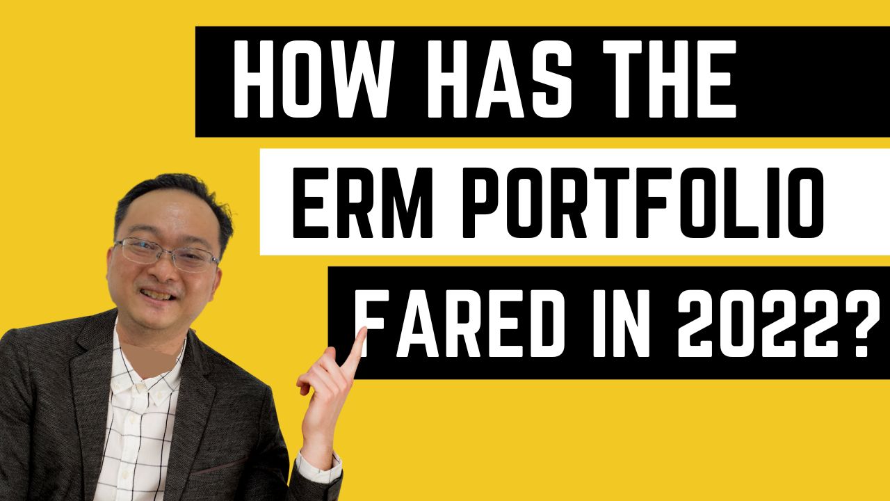 How has the ERM portfolio fared in 2022? | Dr Wealth